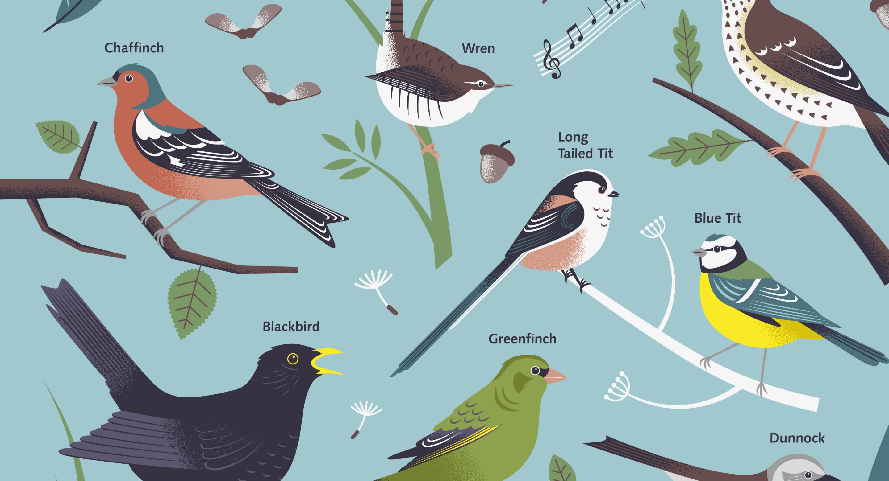 Animal Illustrators for Zoos, Books & Non-profits