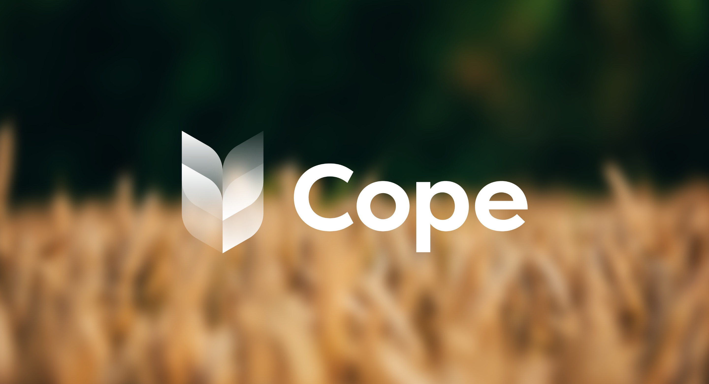 Sowing the future for Cope Seeds with a modern rebrand & marketing